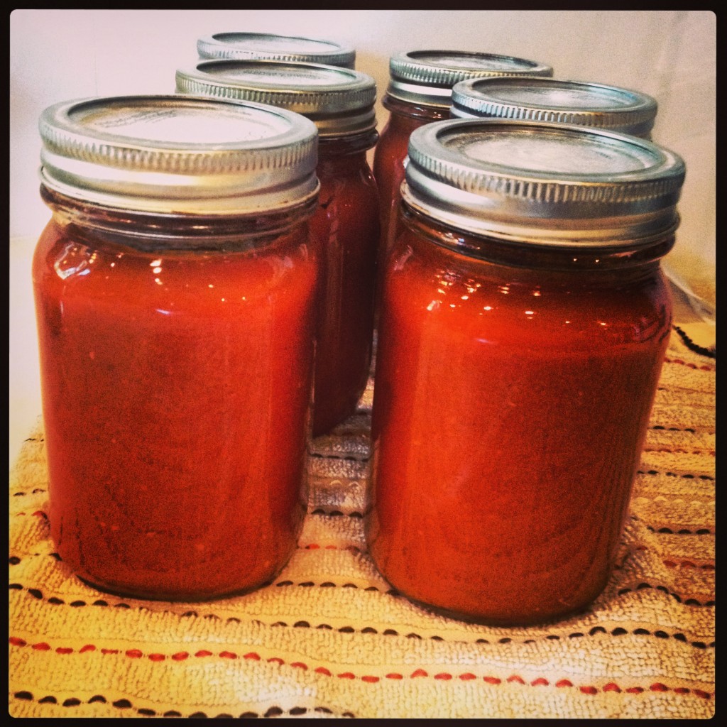 Canning Sugar Free Ketchup. - Millhorn Farmstead